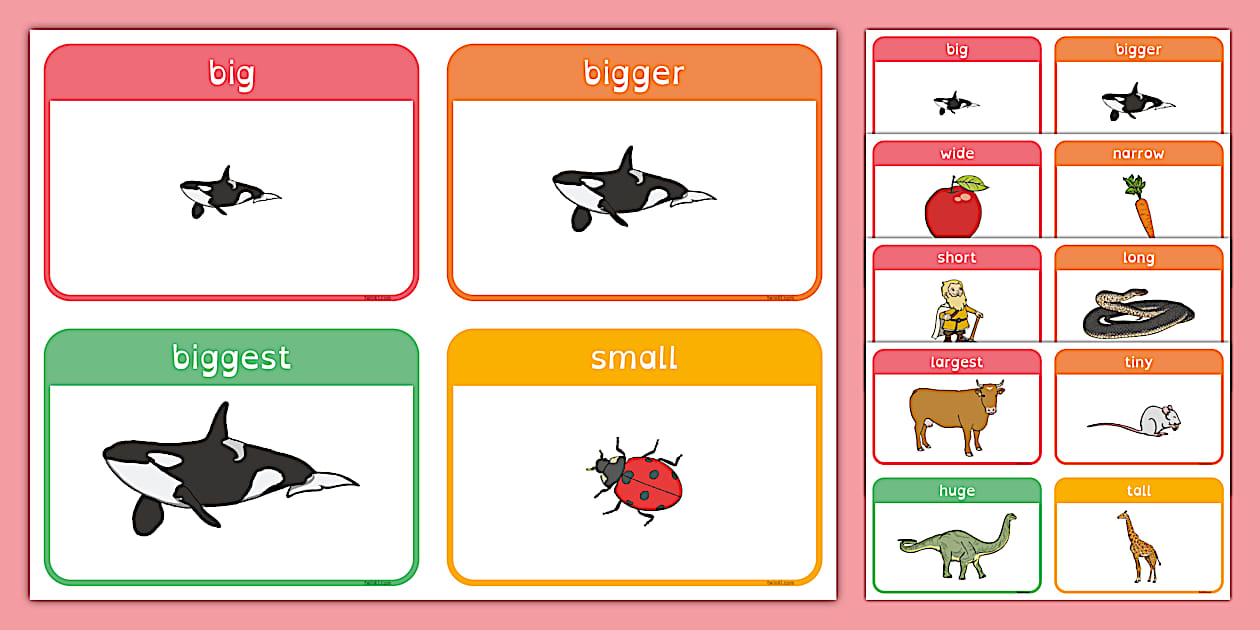 Size Word Cards Dyslexia (teacher made) - Twinkl