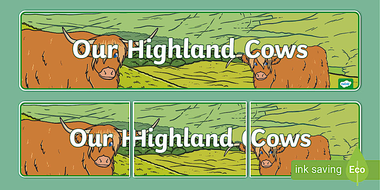 Our Highland Cows Display Banner (teacher made) - Twinkl