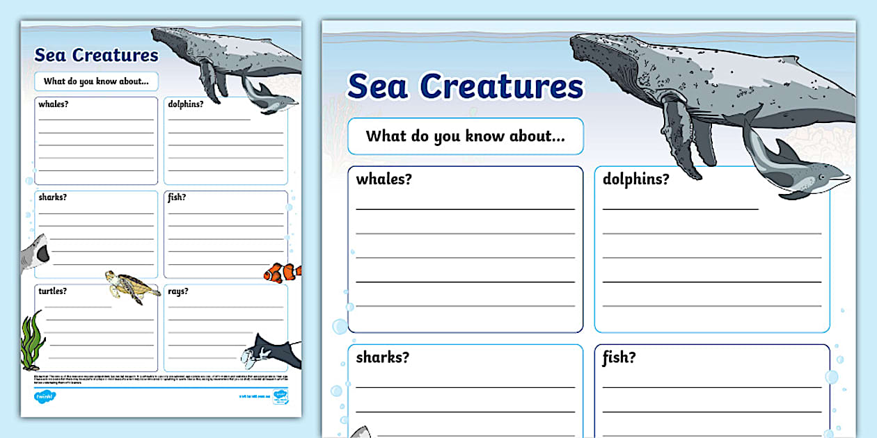 Sea Creatures Fact File Template (teacher made) - Twinkl