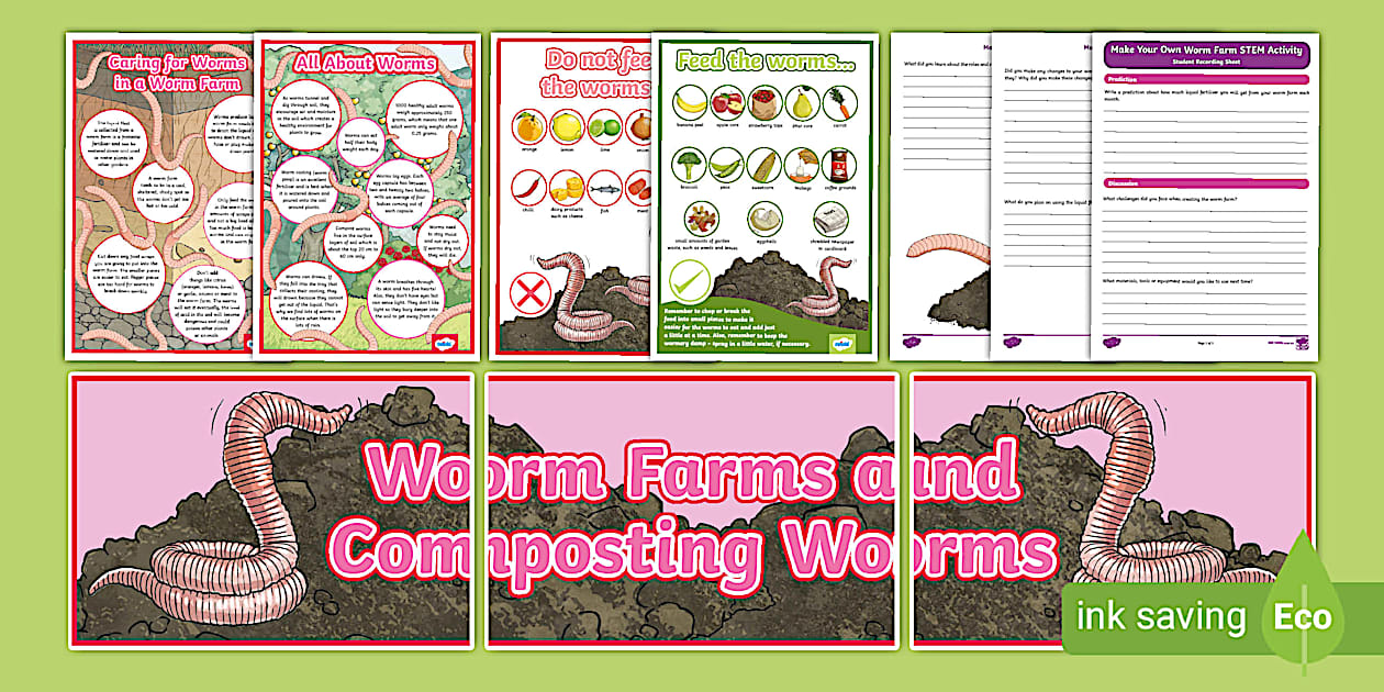 Make Your Own Worm Farm STEM Pack Ι Year 3 and 4 Ι Twinkl