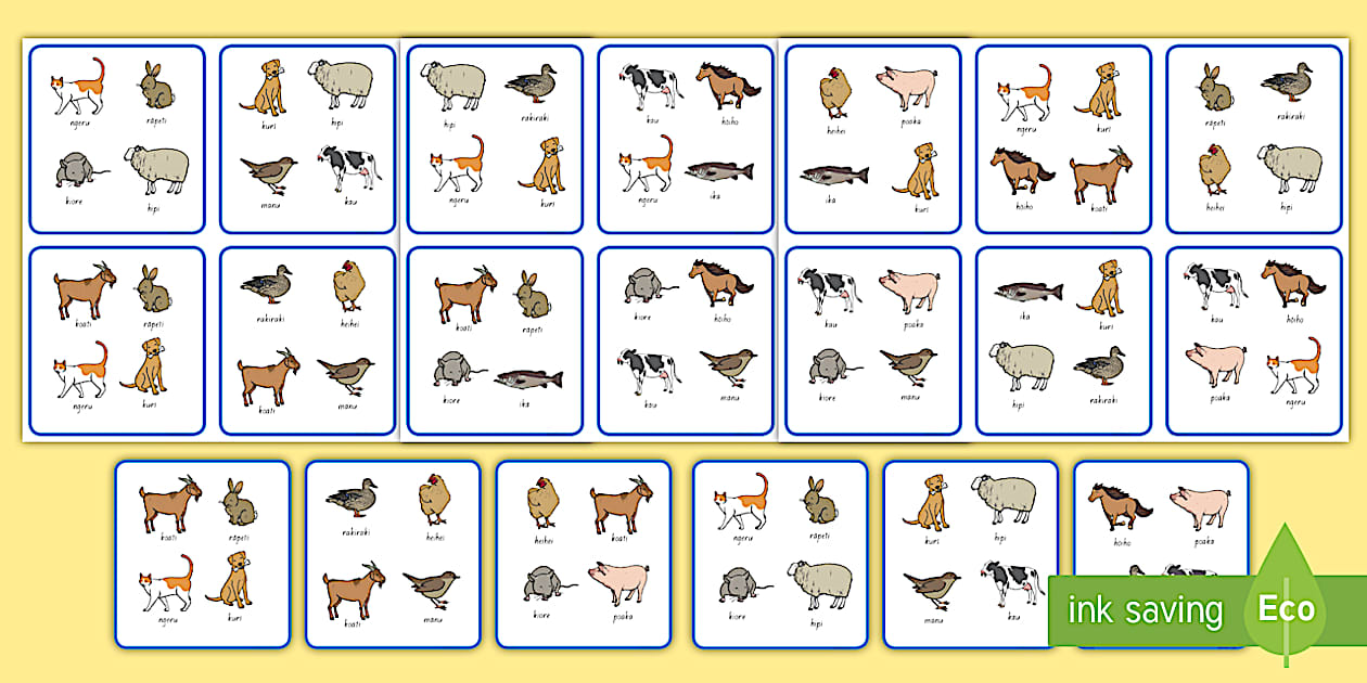Match Me Animal Vocabulary Cards Te Reo Māori - Twinkl