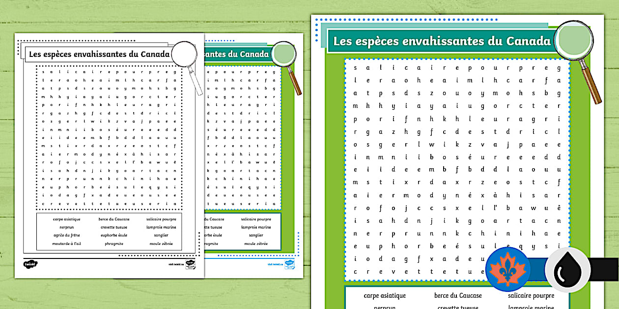 Canada's Invasive Species Word Search French (teacher made)