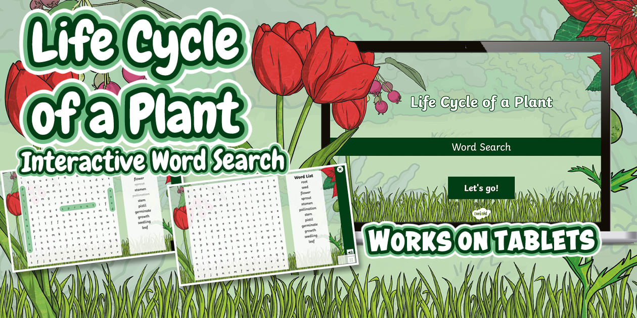 Grade 5 Natural Sciences - Life Cycle of a Plant - Interactive Word Search
