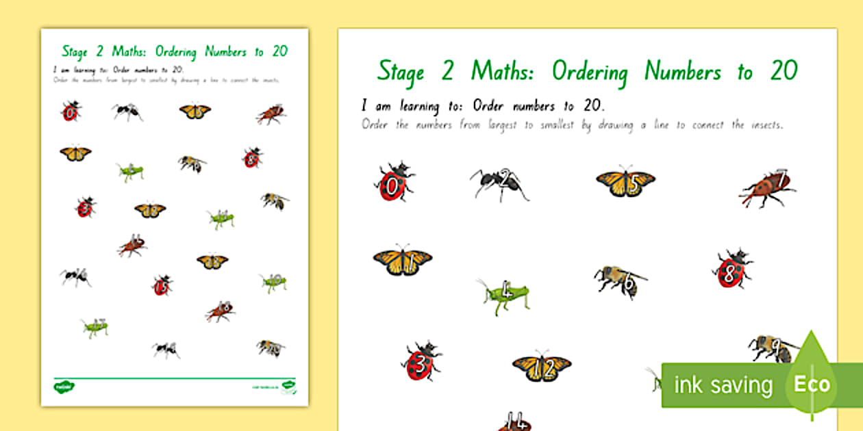 New Zealand Maths Stage 2 Ordering Numbers to 20 Insects Worksheet