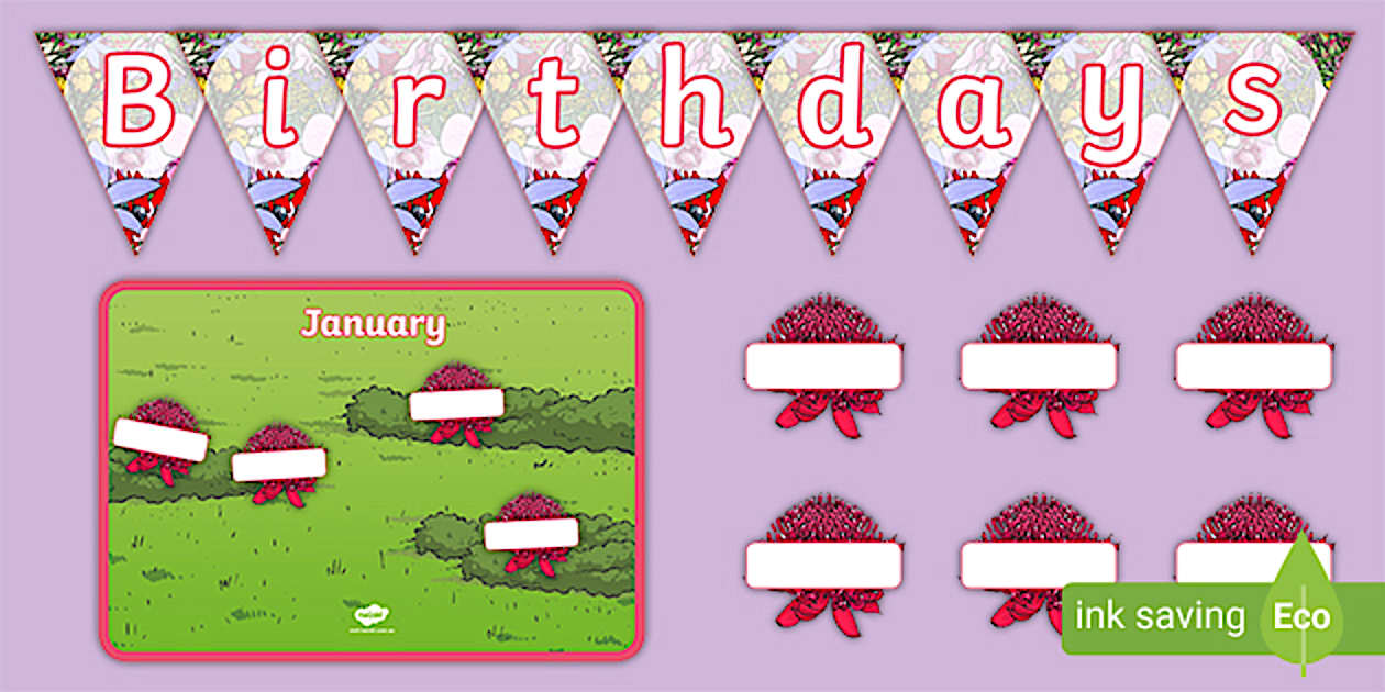 Australian Native Flora Birthday Classroom Display | Twinkl