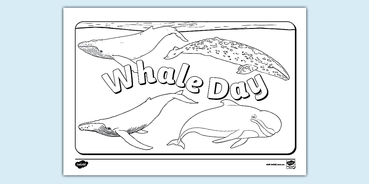Whale Day Colouring Display Poster - Twinkl