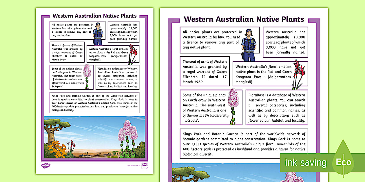 Western Australian Native Plants Fact File (teacher made)