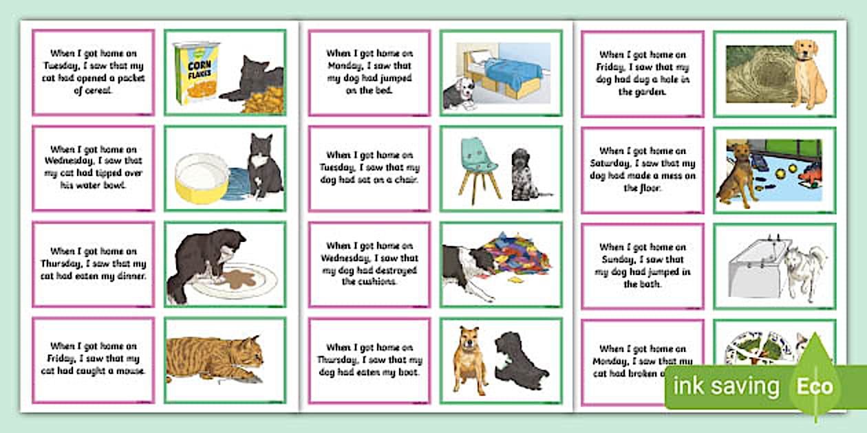 Past Perfect Picture Scenes and Matching Cards - Twinkl