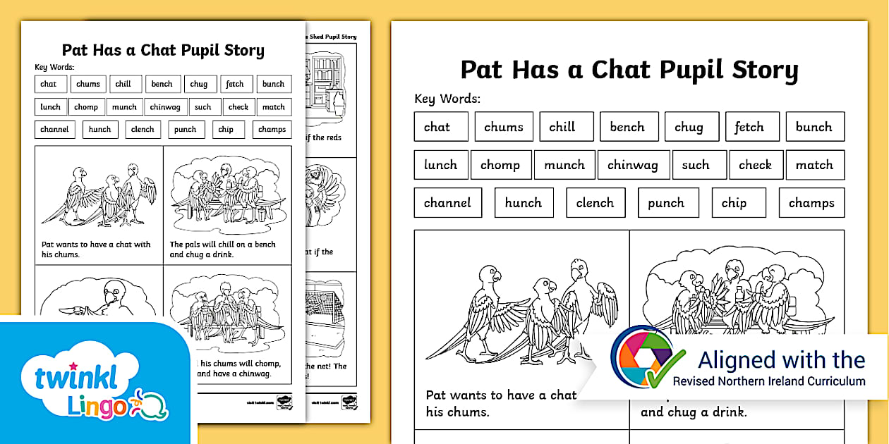 Pat Has a Chat Pupil Story Activity Sheet
