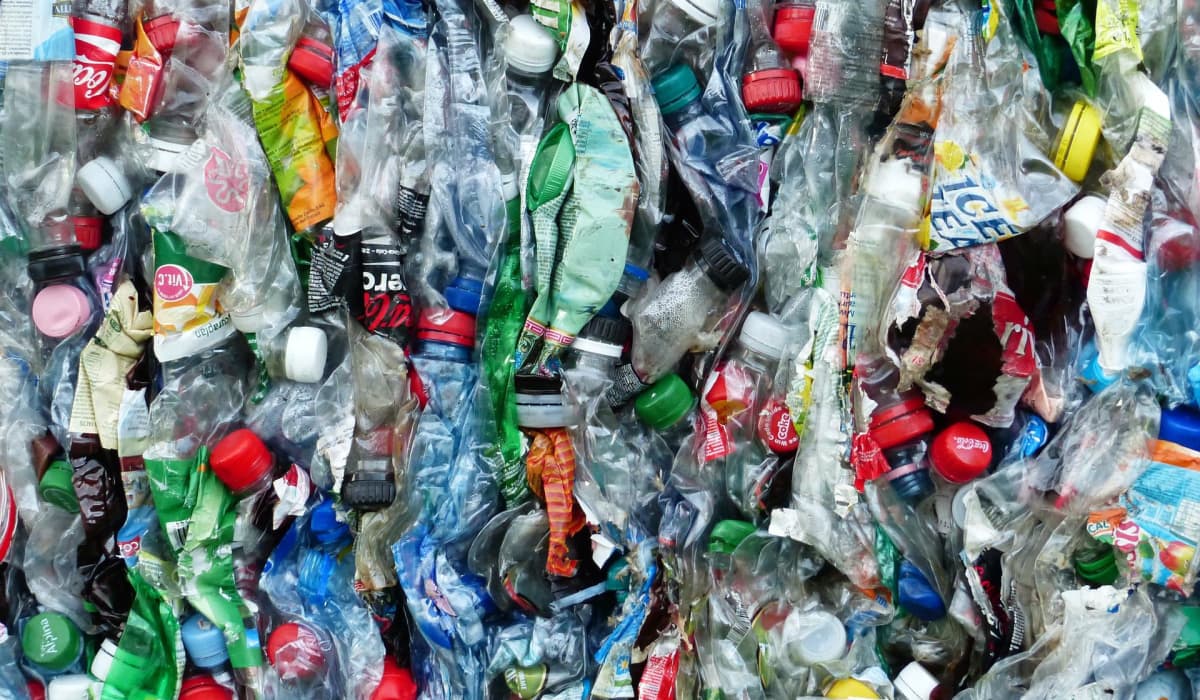 Plastic-Eating Enzyme - Twinkl NewsRoom - Twinkl