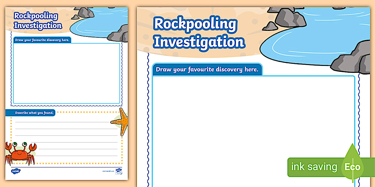 KS1 Rockpooling Record Worksheet (teacher made) - Twinkl