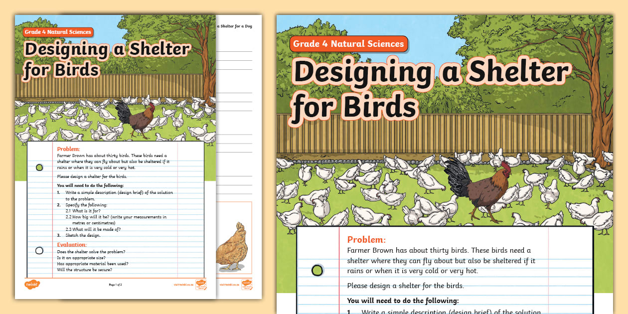 Designing a Shelter for Birds - Activity Sheet - Twinkl