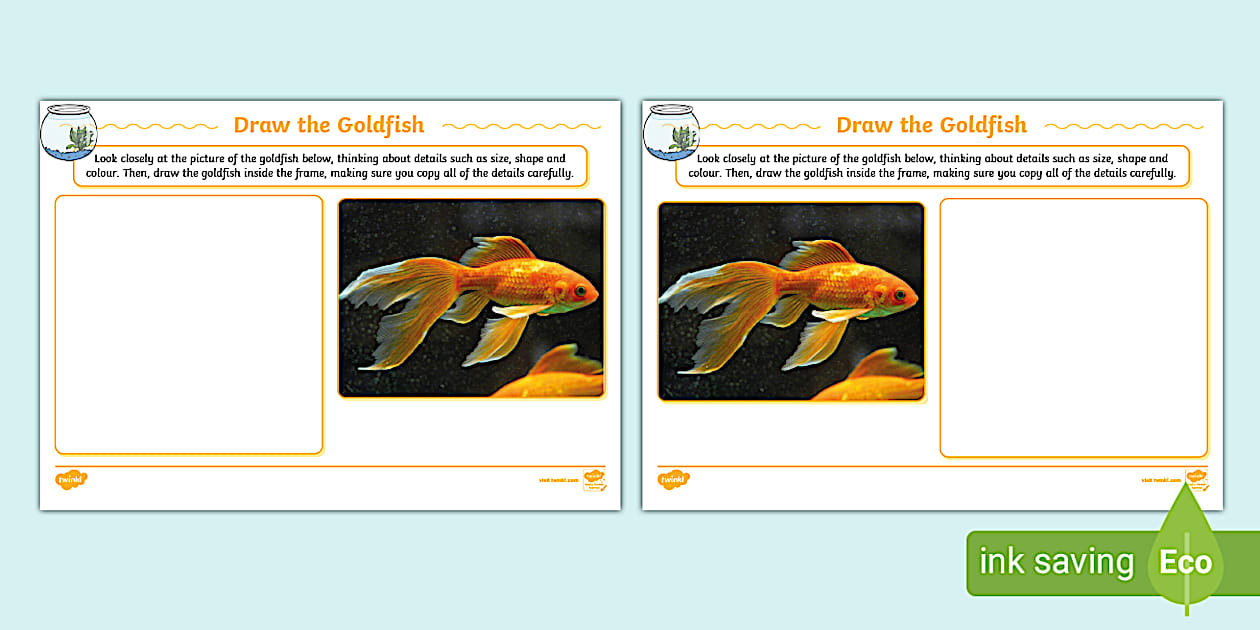 Draw a Goldfish Art Activity, Goldfish Drawing - Twinkl