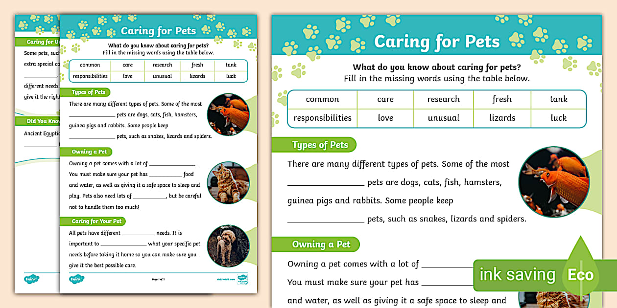 Caring for Pets Cloze Worksheet (teacher made) - Twinkl