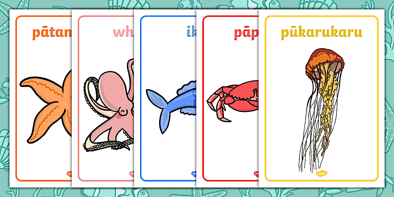 Kei Raro i te Moana - He Kāri Pikitia (teacher made)