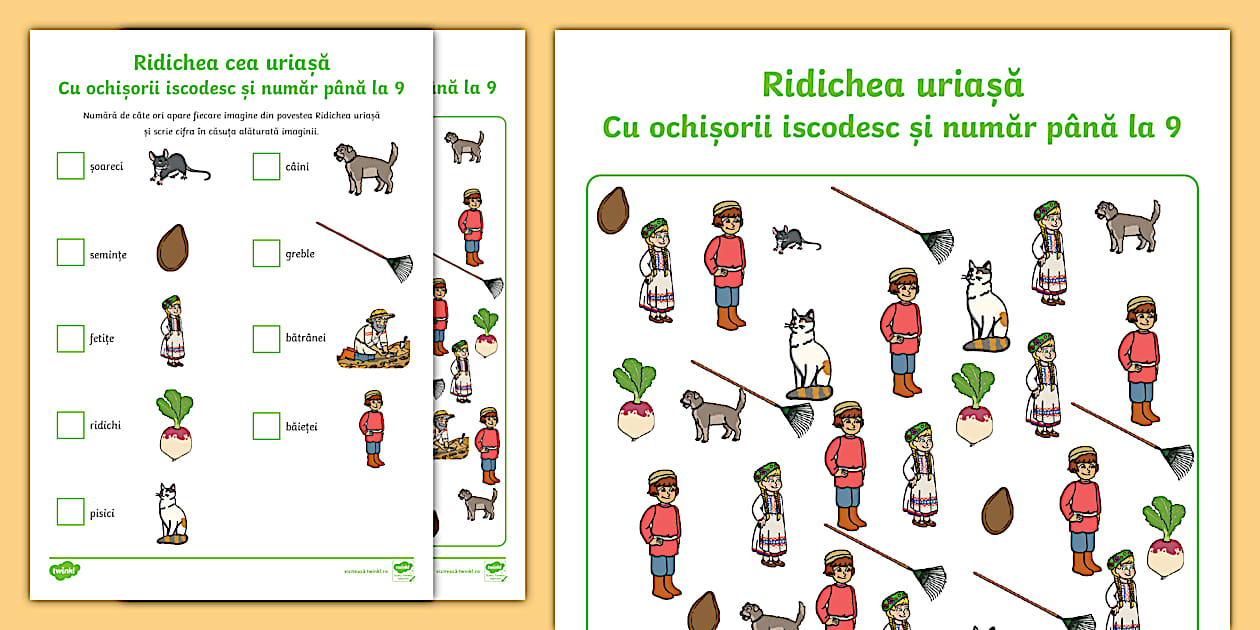 Ridichea uriașă: Cu ochișorii iscodesc și număr până la 9