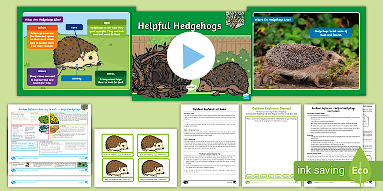 Outdoor Explorers KS1 Spring Lesson 4 Helpful Hedgehogs
