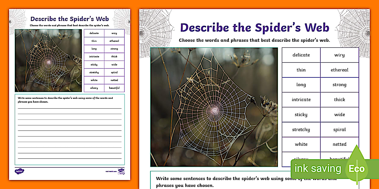 Describe the Spider's Web Worksheet (teacher made) - Twinkl