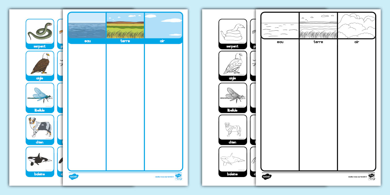 Activité de tri - habitats des animaux (Lehrer gemacht)