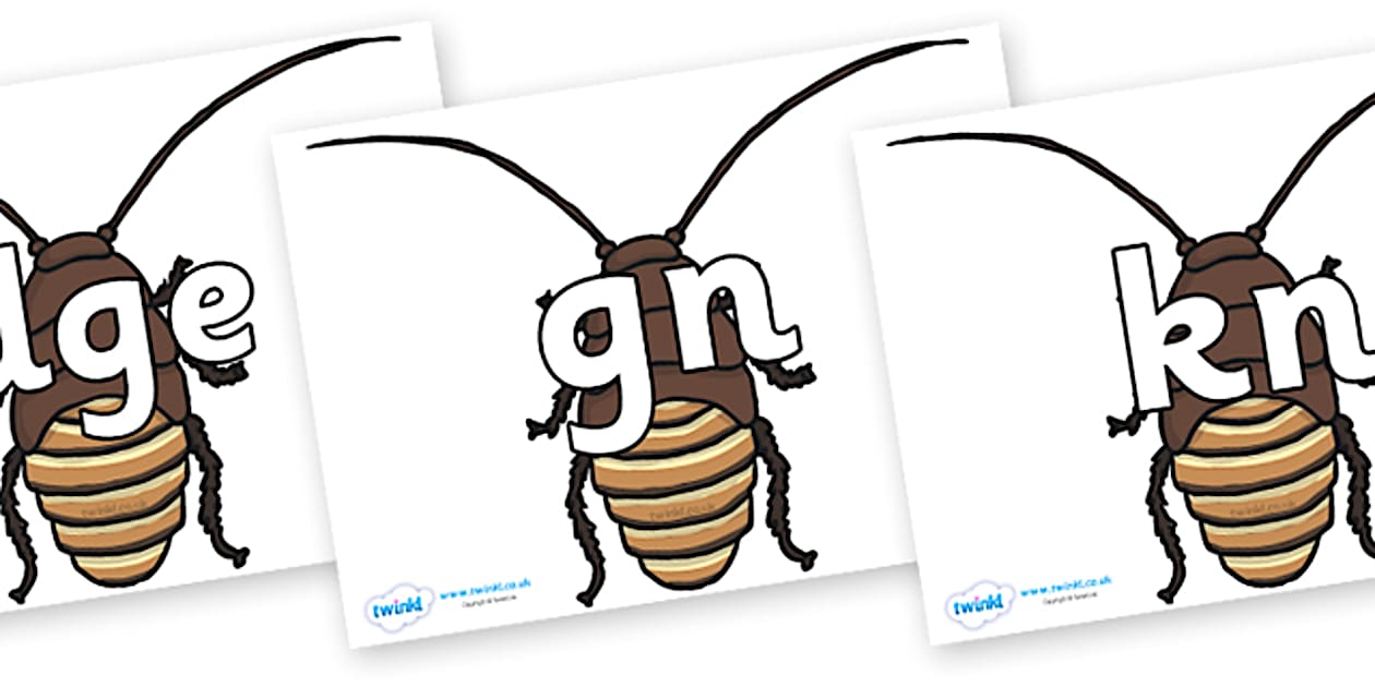 Precursive Silent Letters on Cockroach (teacher made)