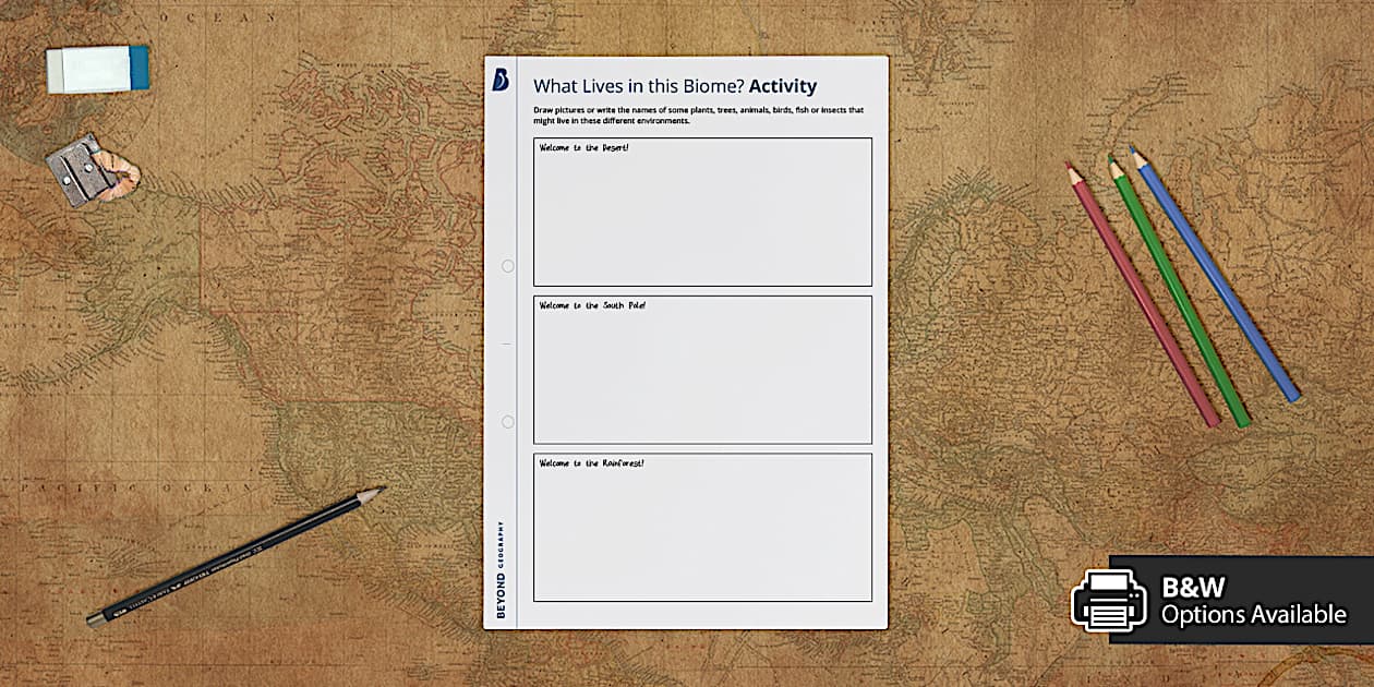 What Lives in This Biome? Activity (teacher made) - Twinkl