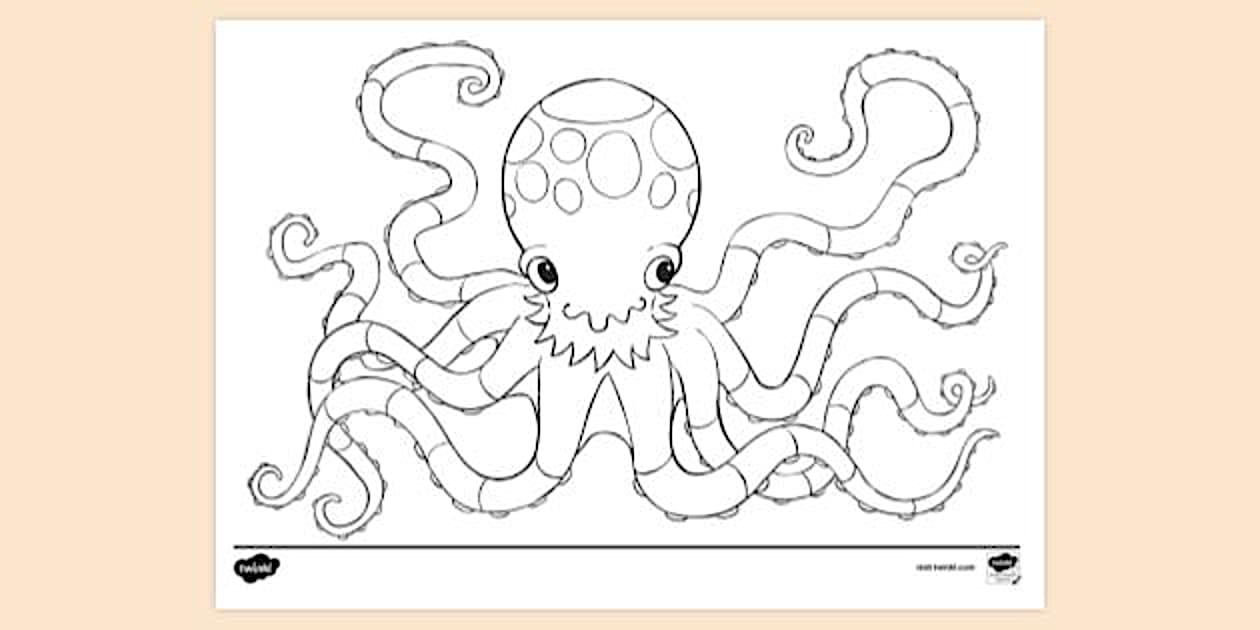 Octopus Outline | Under the Sea Activities | Twinkl - Twinkl