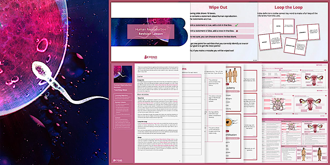 KS3 Reproduction: Human Reproduction Revision Lesson |Beyond
