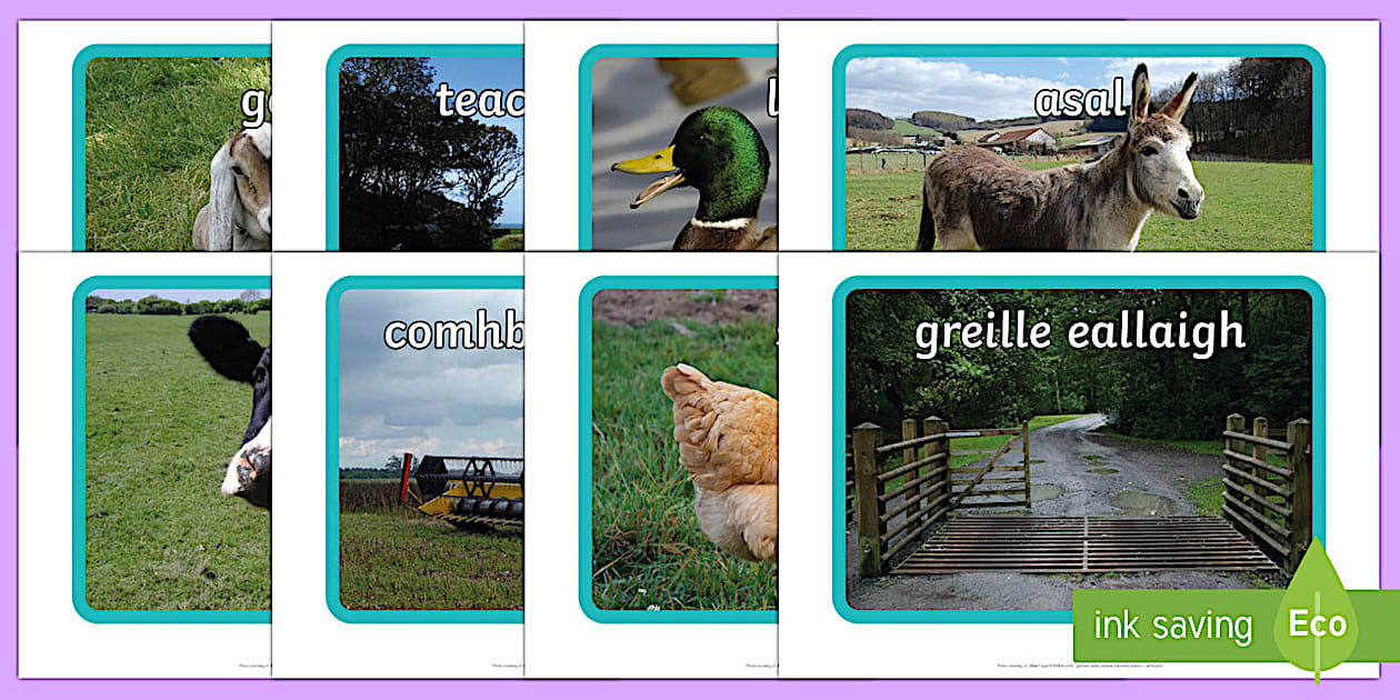 Cursive Ar an bhFeirm Photo Pack (teacher made) - Twinkl