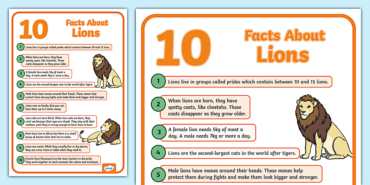 10 Facts About Lions Display Poster (teacher made) - Twinkl