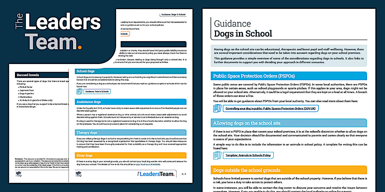 Guidance: Dogs in School - leaders (teacher made) - Twinkl