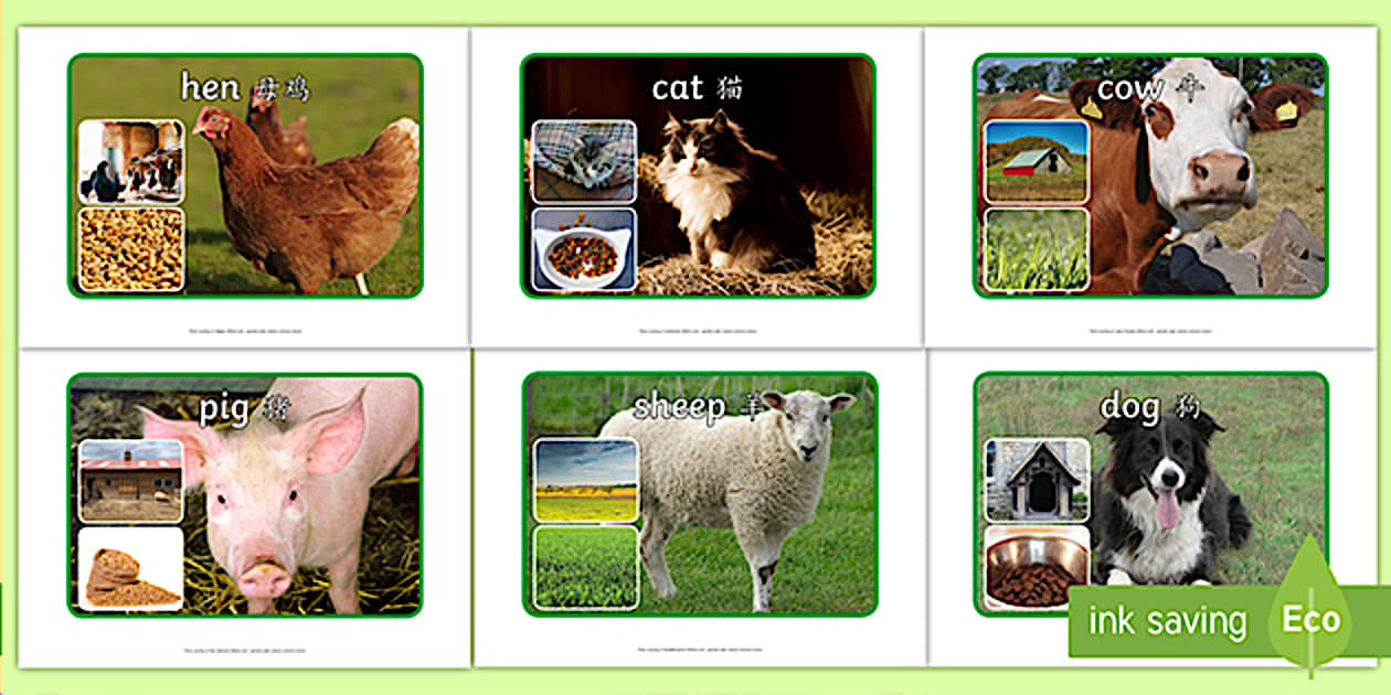 Farm Animal Display Photos English/Mandarin Chinese - Twinkl