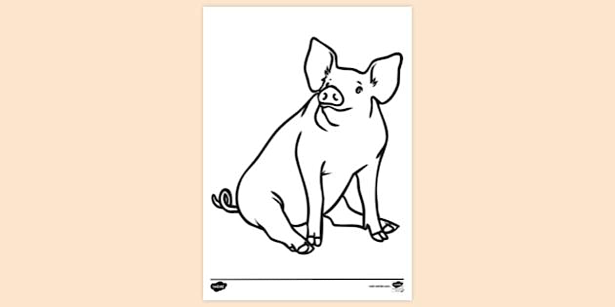 Pig Sitting Colouring Sheet | Colouring Sheets - Twinkl