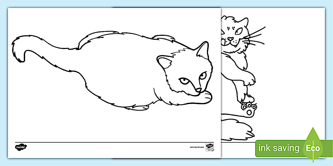 Hungry Grumpy Cat Colouring Sheets - Colouring - Twinkl