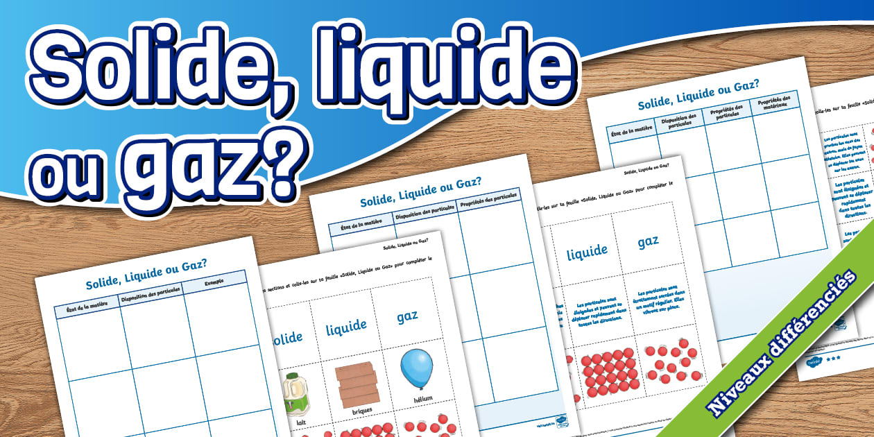 Matter Cut and Paste Activity - French