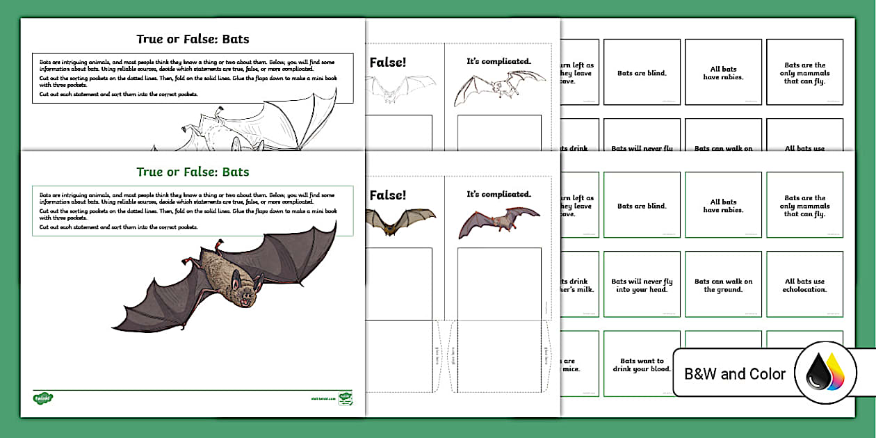 True or False: Bats Sorting Worksheet for 3rd-5th Grade