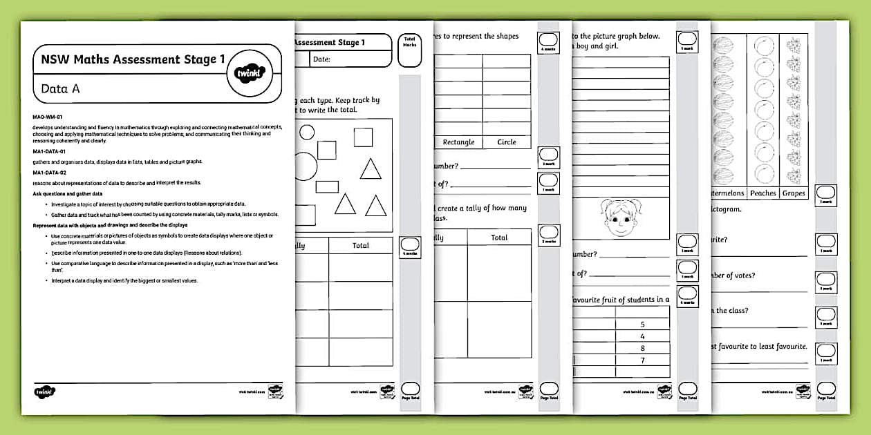 Maths Assessment NSW Curriculum- Stage 1 Data A - Twinkl