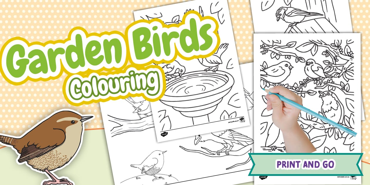 Garden Birds Colouring Pages