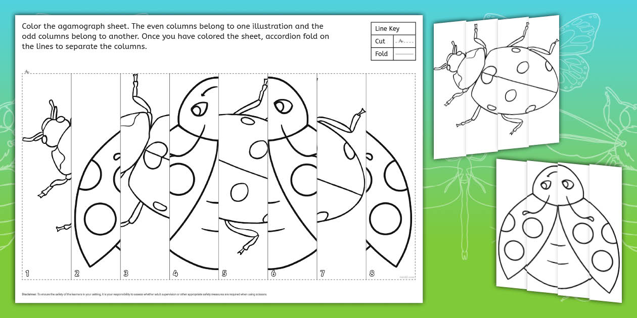 Ladybug Agamograph - Twinkl Art and Crafts (teacher made)