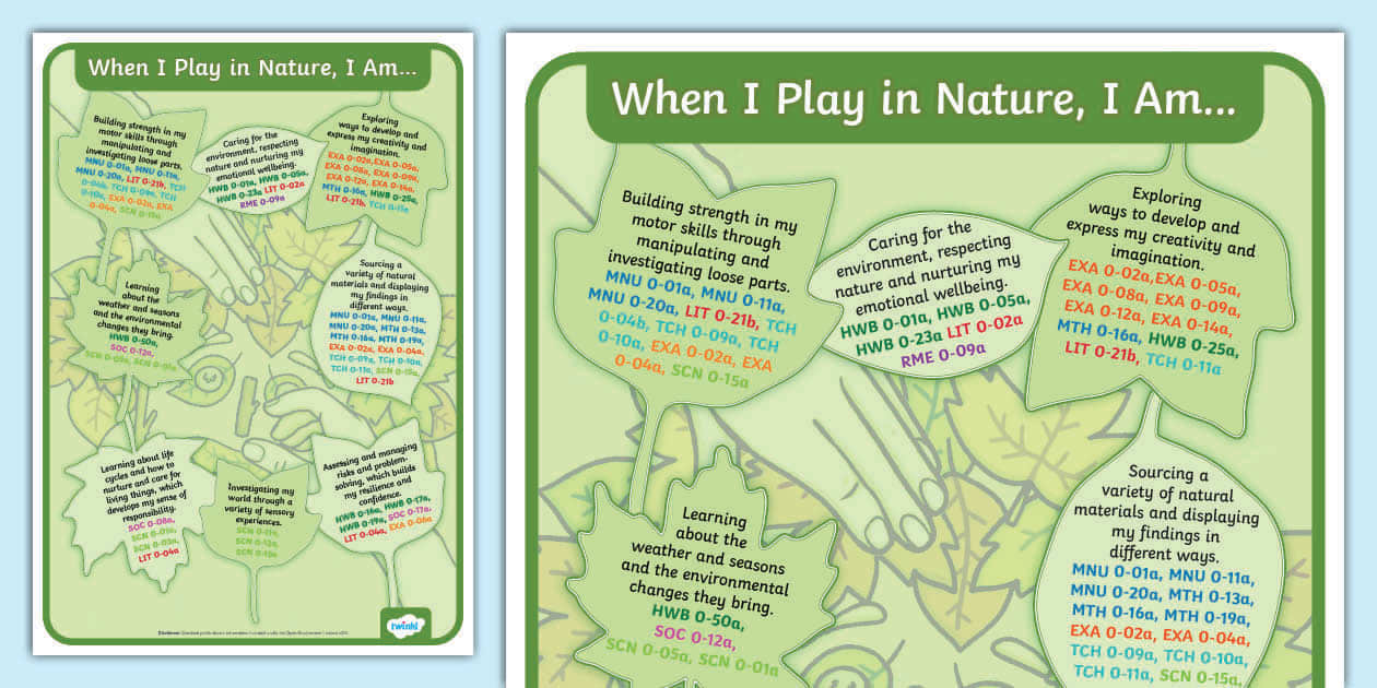 When I Play in Nature Display Poster ELC (teacher made)