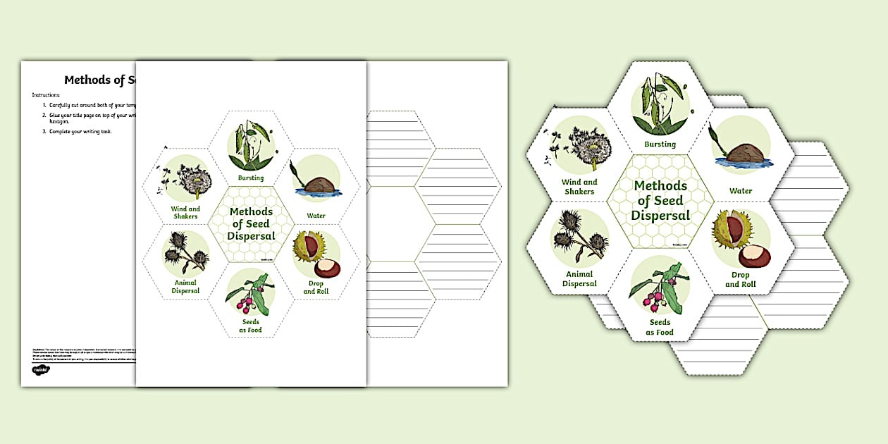 Methods of Seed Dispersal Hexagon Writing Template - Twinkl