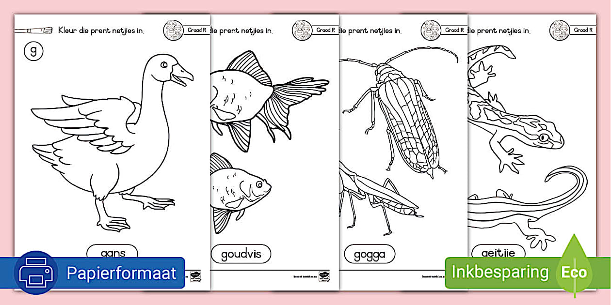 Graad R Inkleurprente G-Klank (Teacher-Made) - Twinkl