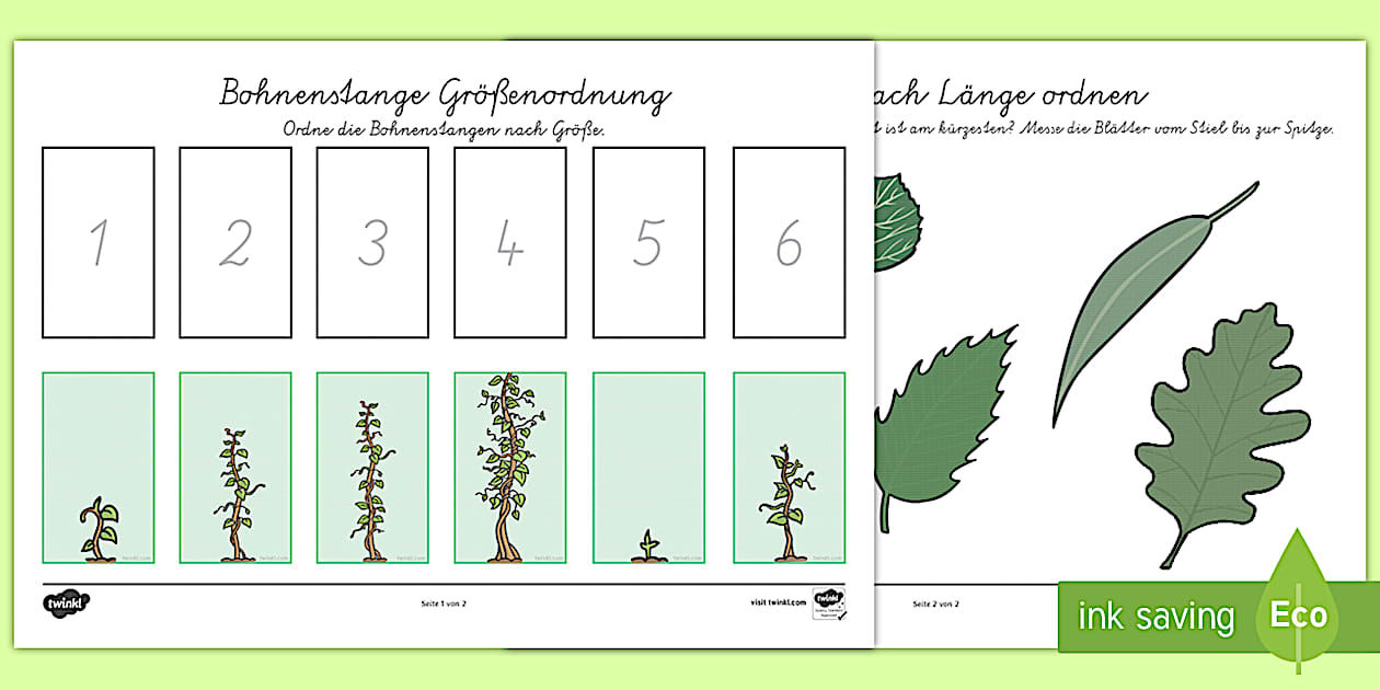 Beanstalk Height and Length Ordering Worksheet / Worksheets German