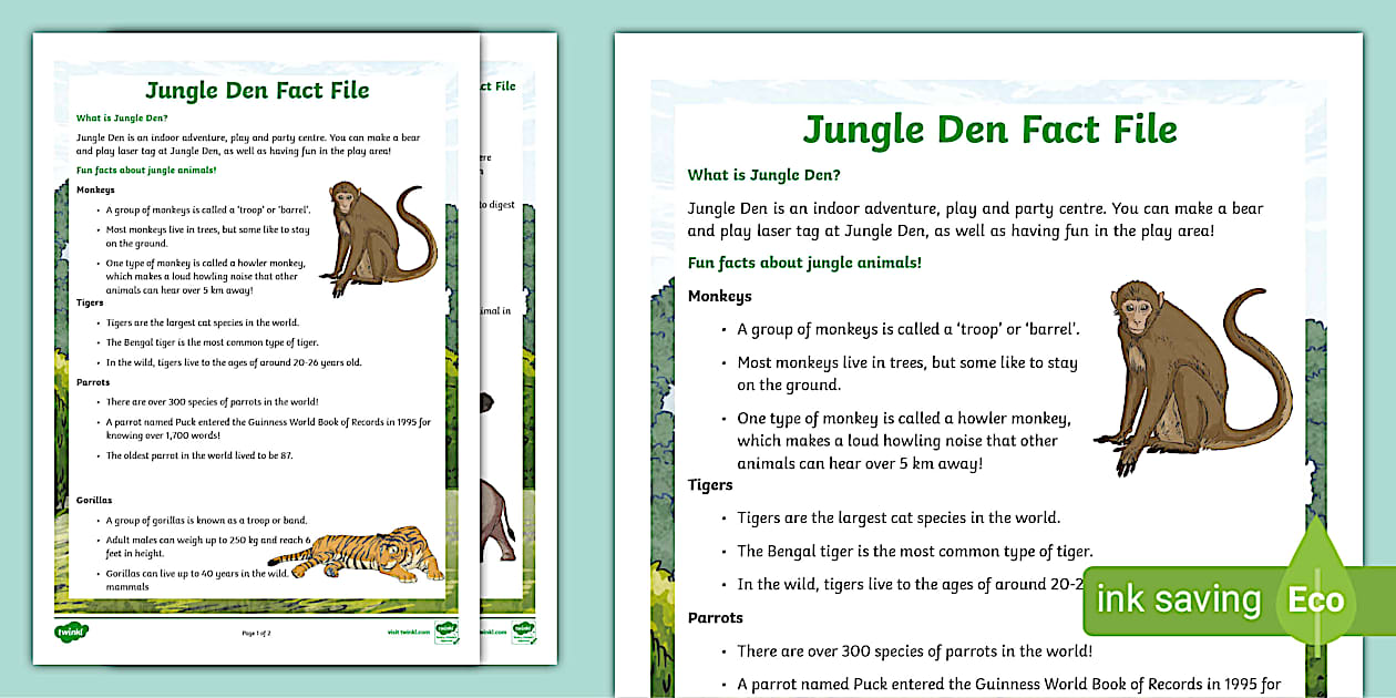 Jungle Den Fact File Sheets | Twinkl Resources - Twinkl