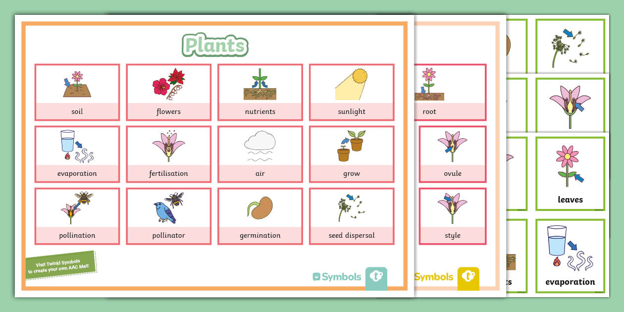 Twinkl Symbols: PlanIt Science: Plants: Year 3: Pack