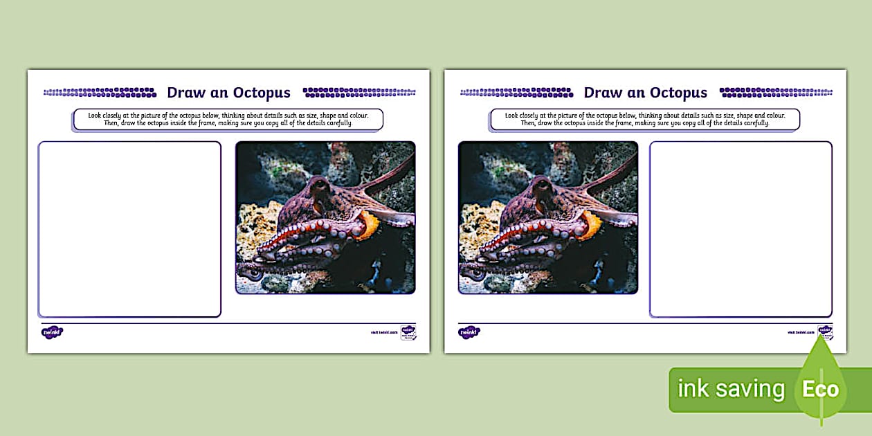 Draw an Octopus Art Activity,octopus (teacher made) - Twinkl