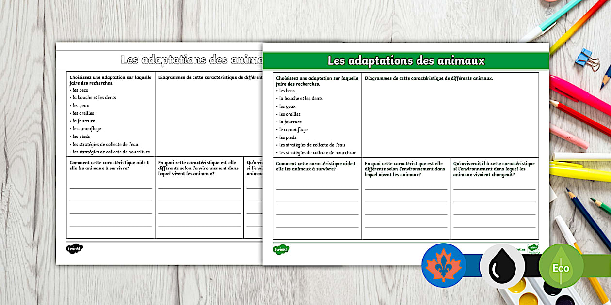 Animal Adaptations Research Activity French (teacher made)