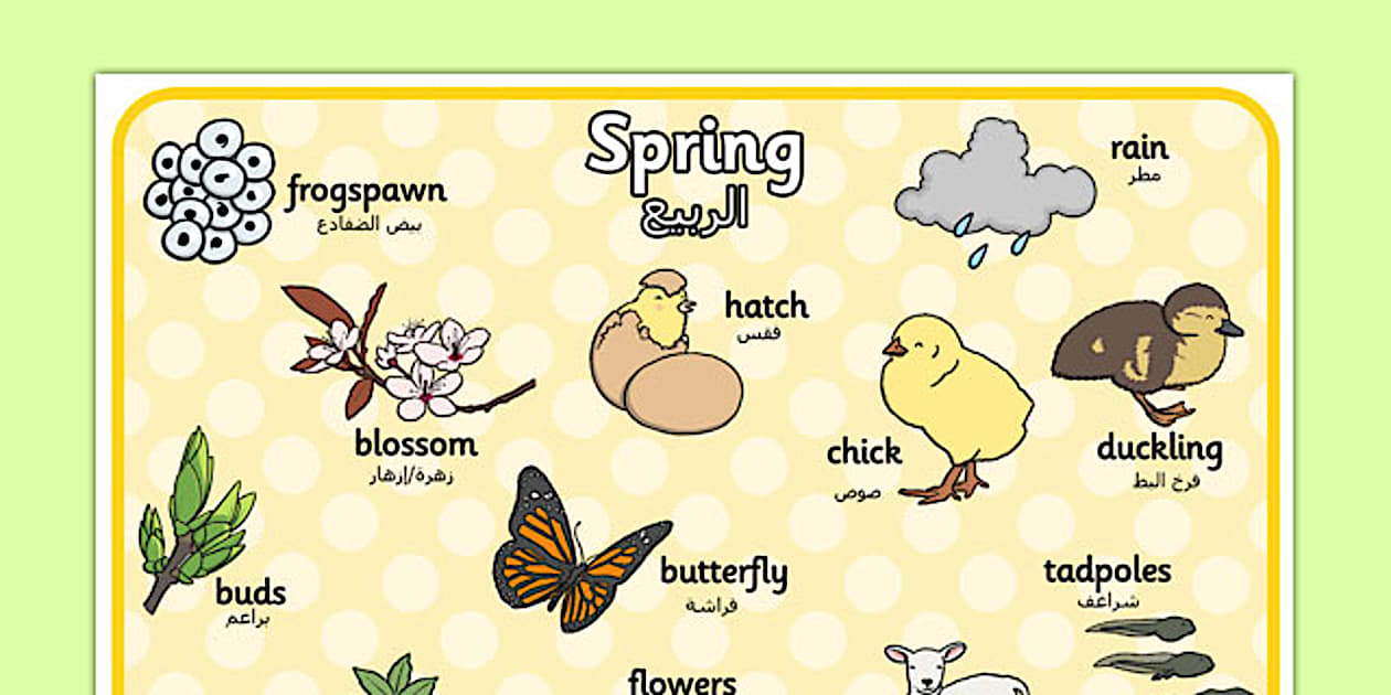 Spring Word Mat Arabic Translation (teacher made) - Twinkl