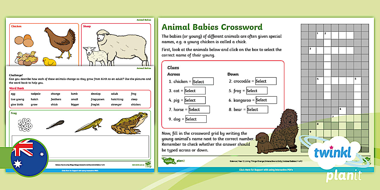 Year 2 Science Living Things Change Interactive Activity 1