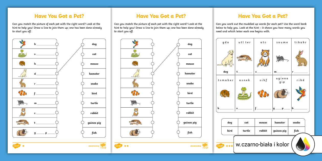 Have you got a pet? | Czy masz zwierzątko? | Język angielski
