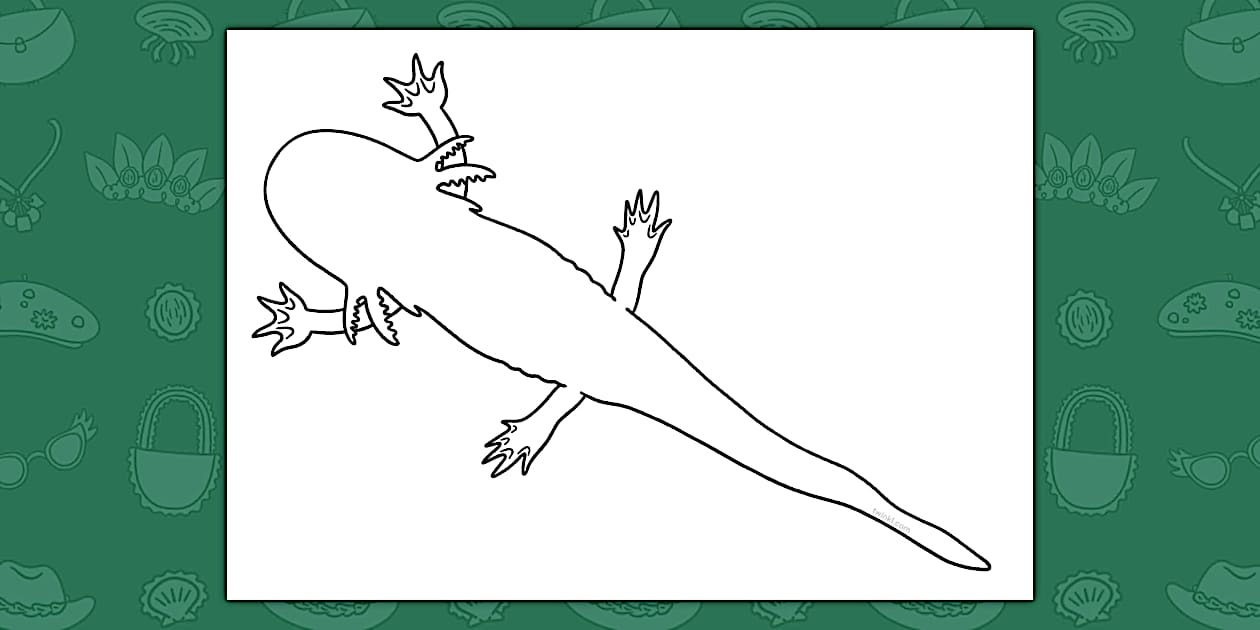 Axolotl Outline Template (teacher made) - Twinkl